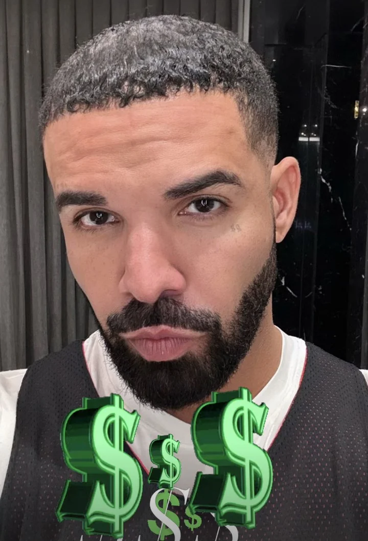 Drake Shows Duck Face and Fresh Hairstyle in New Selfie
