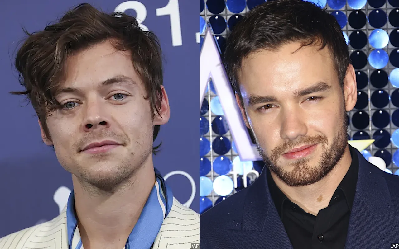 Harry Styles Retreats to 'Private' Beach After Attending Liam Payne's ...