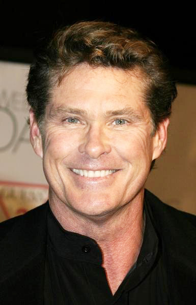 david-hasselhoff Picture 1 - AXS TV Winter 2016 TCA Cocktail Party ...