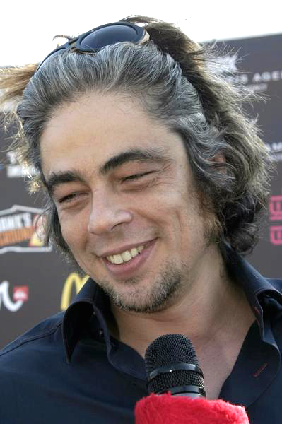 benicio-del-toro Picture 1 - 88th Annual Academy Awards - Red Carpet ...