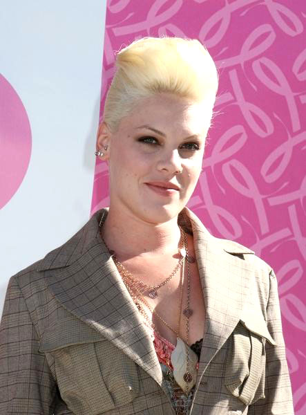 Pink Picture 8 - Pink and Target Host a Meet and Greet and Concert at ...