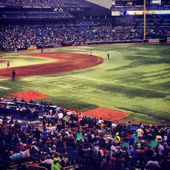 Carly Rae Jepsen Laughs Off Her Awful First Pitch at Baseball Game