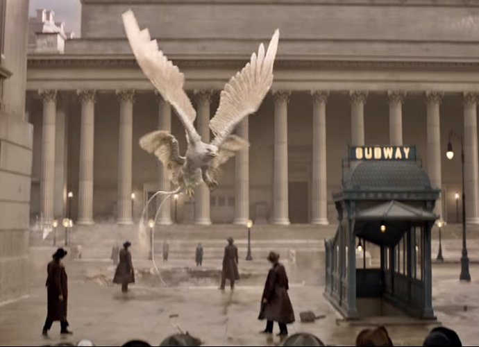 Comic-Con: New 'Fantastic Beasts' Trailer Shows Newt Scamander ...