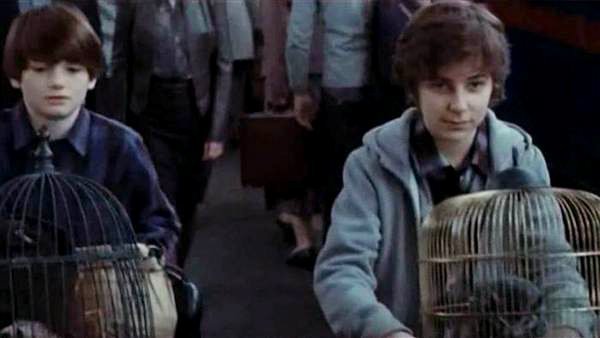 J.K. Rowling Confirms Harry Potter's Oldest Son James Sirius Goes Into ...