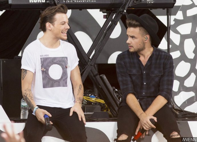 Louis Tomlinson Will Continue Writing Songs With Liam Payne While 1D Is ...