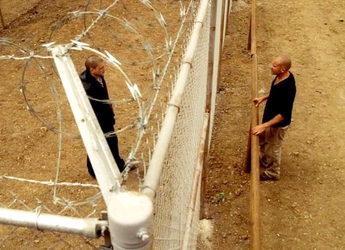 'Prison Break' Revival: Dominic Purcell Shares Details of Michael's ...