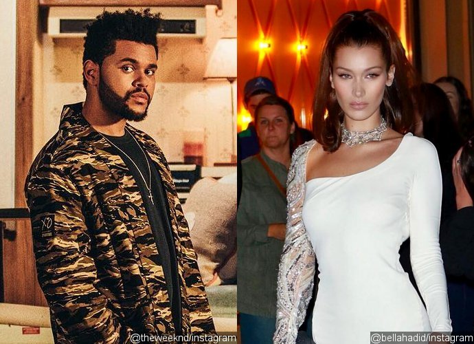 The Weeknd to Reconnect With Bella Hadid After Selena Gomez Split