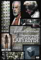 Into the Labyrinth (2020) Cast, Crew, Synopsis and Movie Info