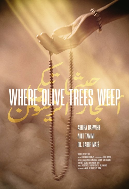 Where Olive Trees Weep (2026) - Reviews & Cast | AceShowbiz