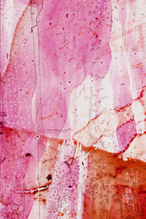 Xtended Release (2026) by Joshua Gen Solondz | AceShowbiz