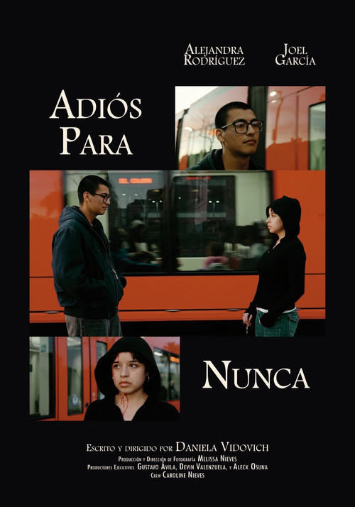 Adiós Para Nunca (2026) - Thriller Film | AceShowbiz
