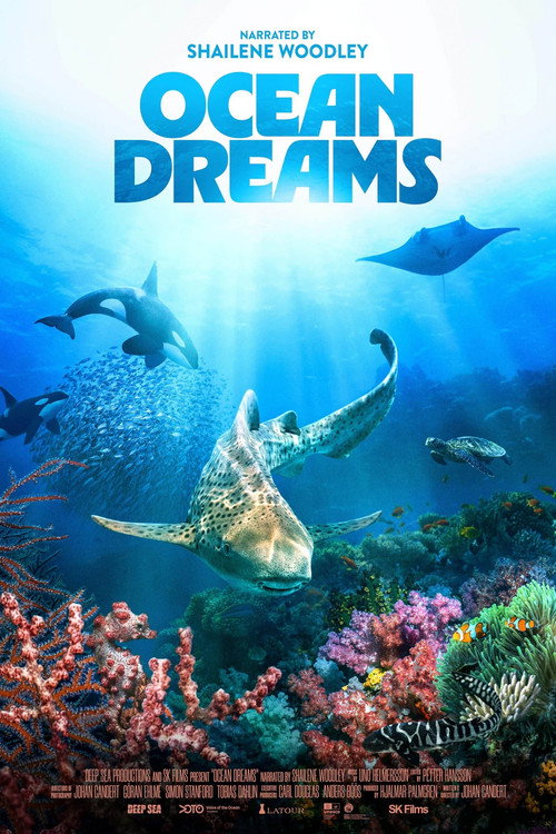 Ocean Dreams (2026) - Documentary Film | AceShowbiz
