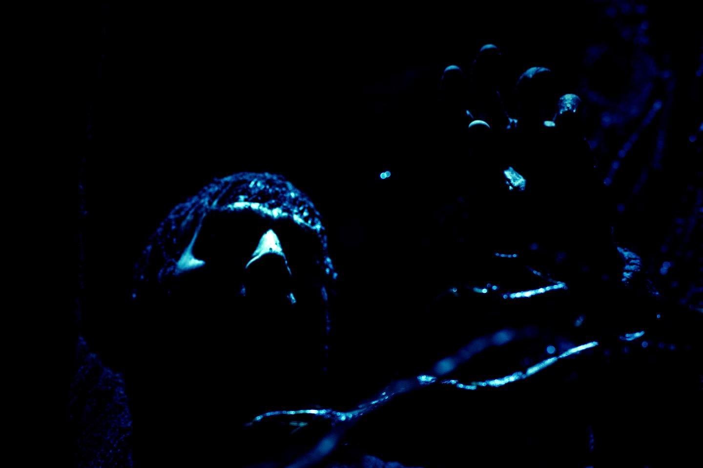 11-11-11 (2011) Cast, Crew, Synopsis and Movie Info