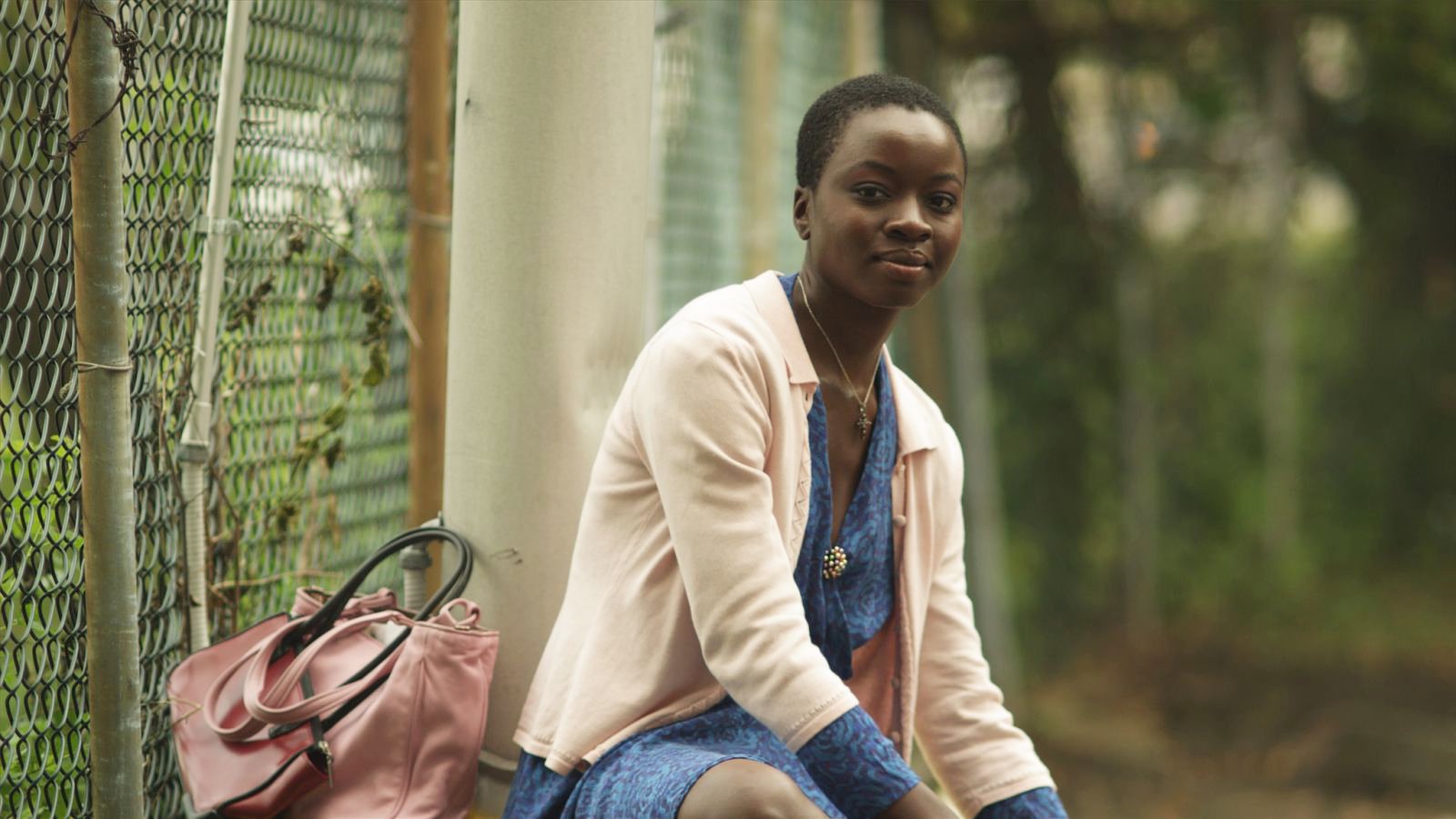 3 Backyards Picture 8