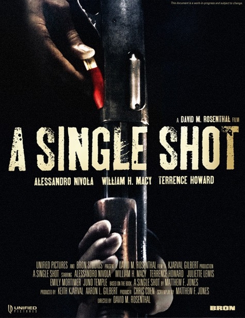 Single Shot, A Picture 1