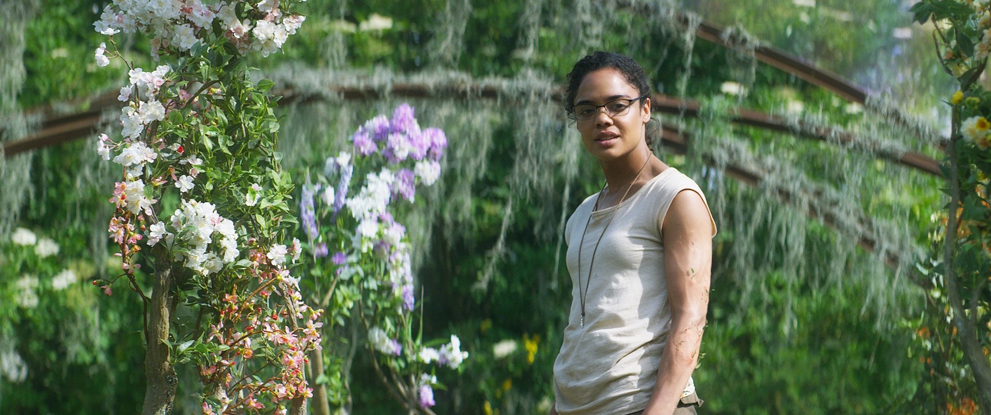Annihilation (2018) Cast, Crew, Synopsis and Movie Info