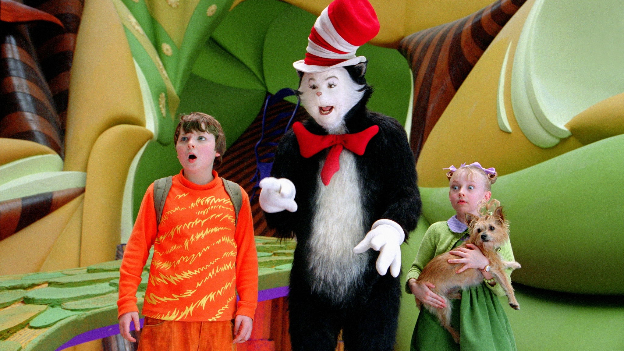 Cat In The Hat (2019), The Picture 4 | AceShowbiz
