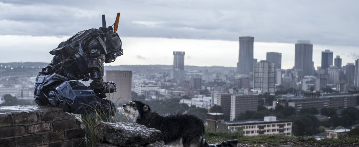 Chappie (2015) - Sharlto Copley, Hugh Jackman | AceShowbiz
