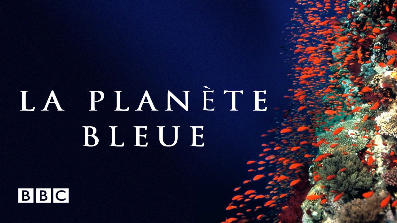 Deep Blue Picture 8 | AceShowbiz