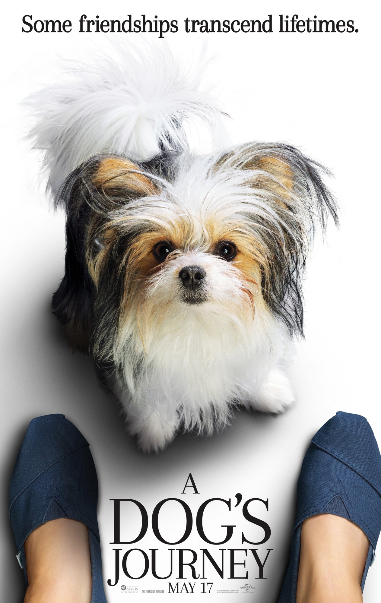 A Dog s Journey 2019 Pictures Trailer Reviews News DVD And Soundtrack