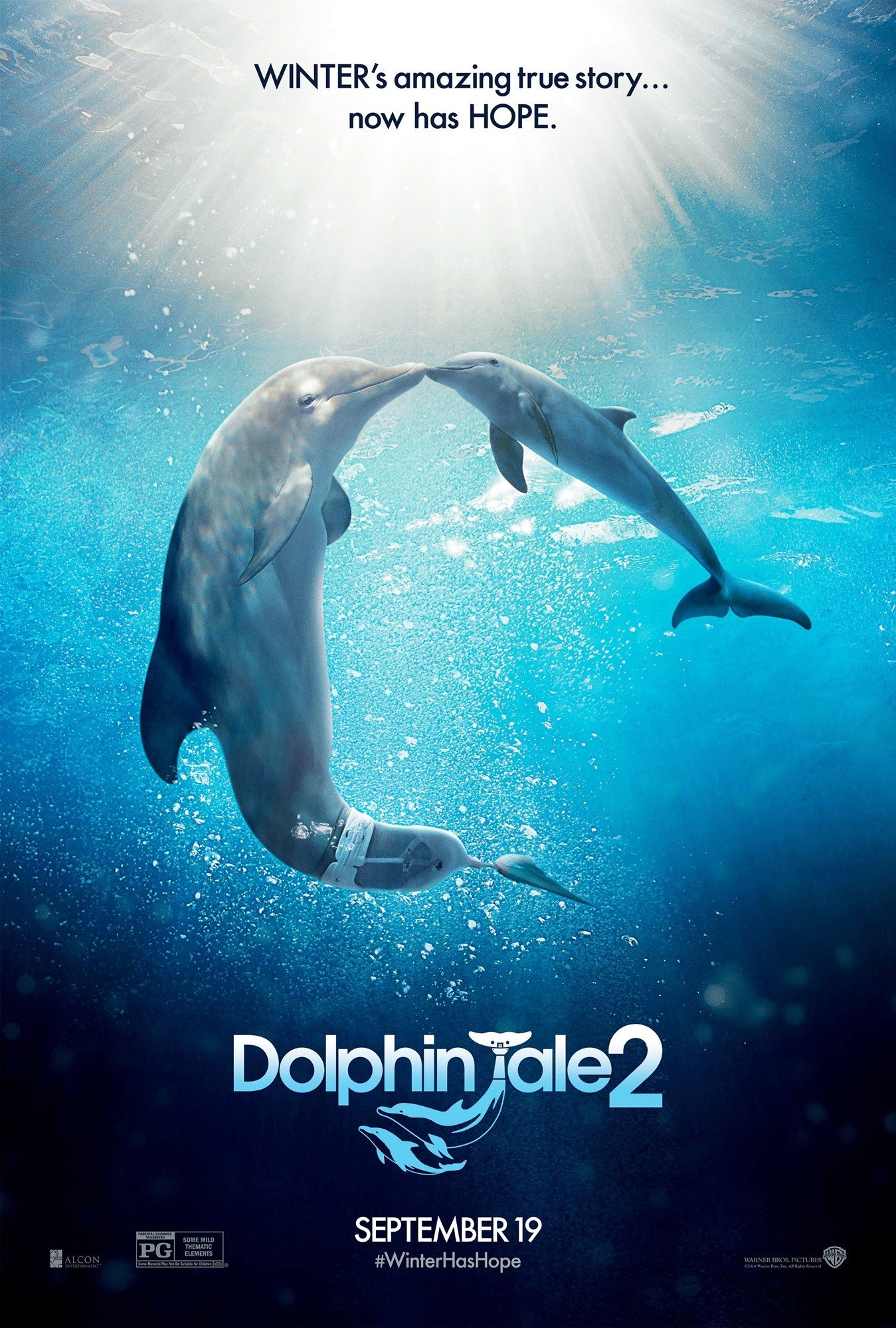 Dolphin Tale 2 Picture 5