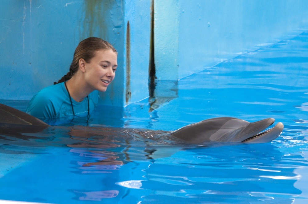 Dolphin Tale Picture 27