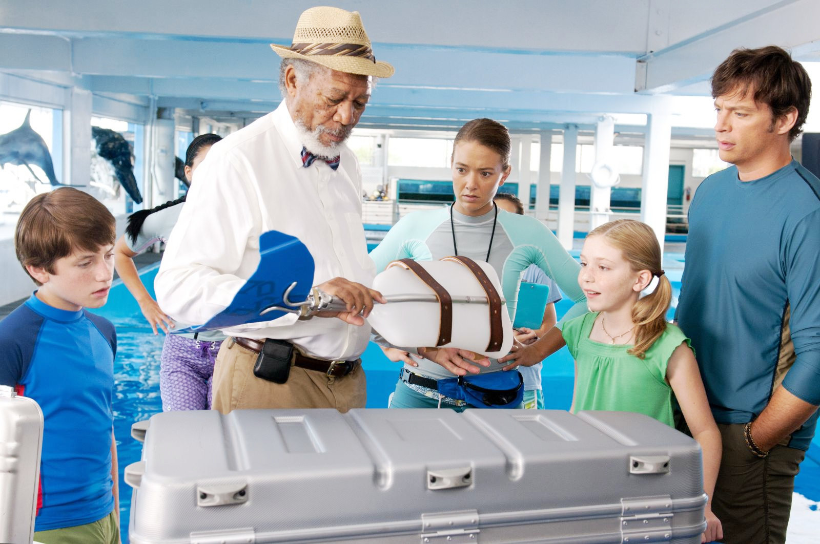 Dolphin Tale Picture 1