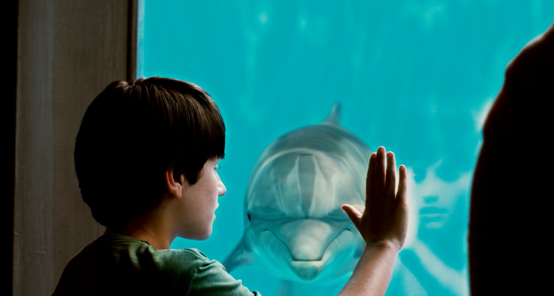 Dolphin Tale Picture 13