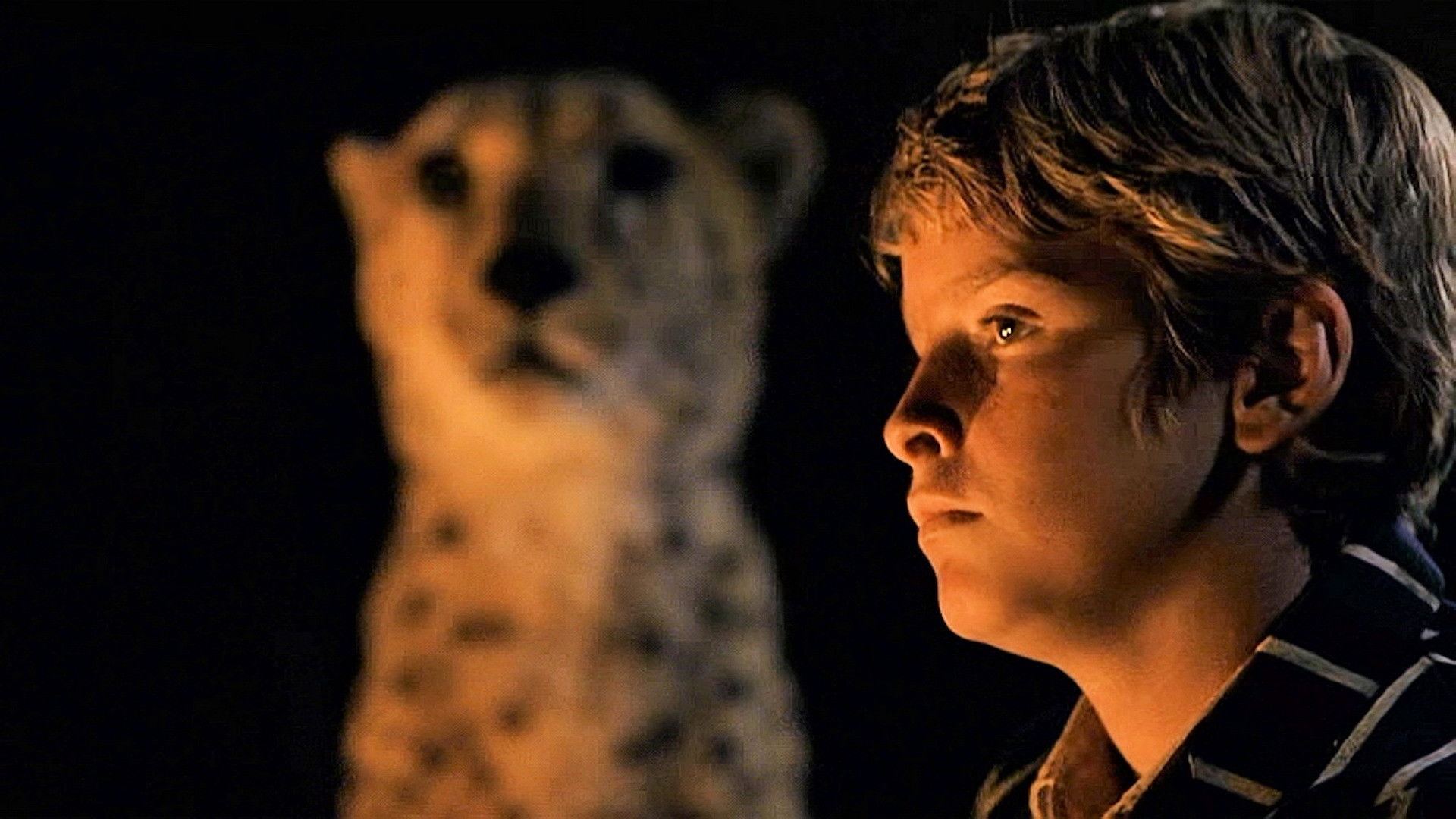 Duma (2005) - Production Photos | AceShowbiz