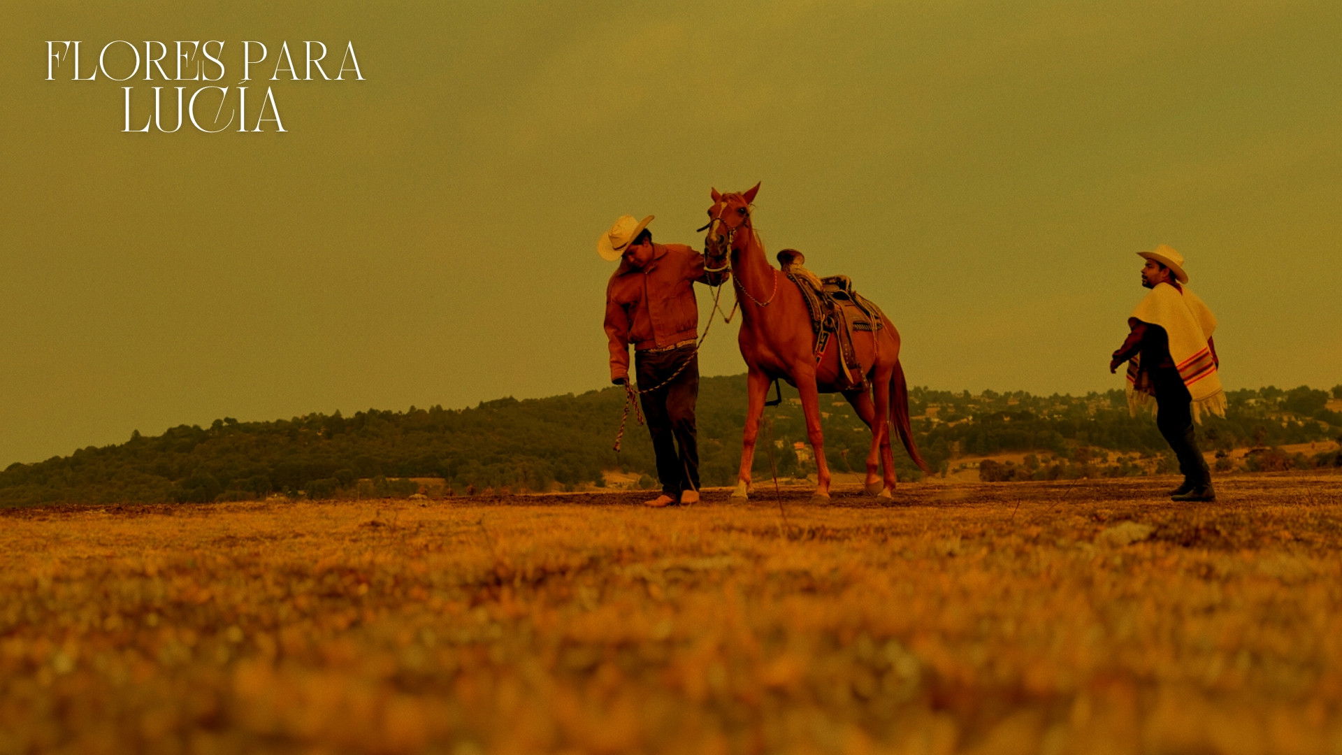 Flores Para Lucia Picture 6