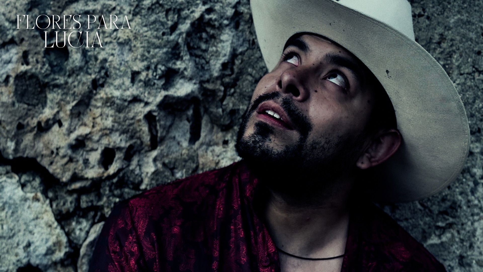 Flores Para Lucia Picture 3