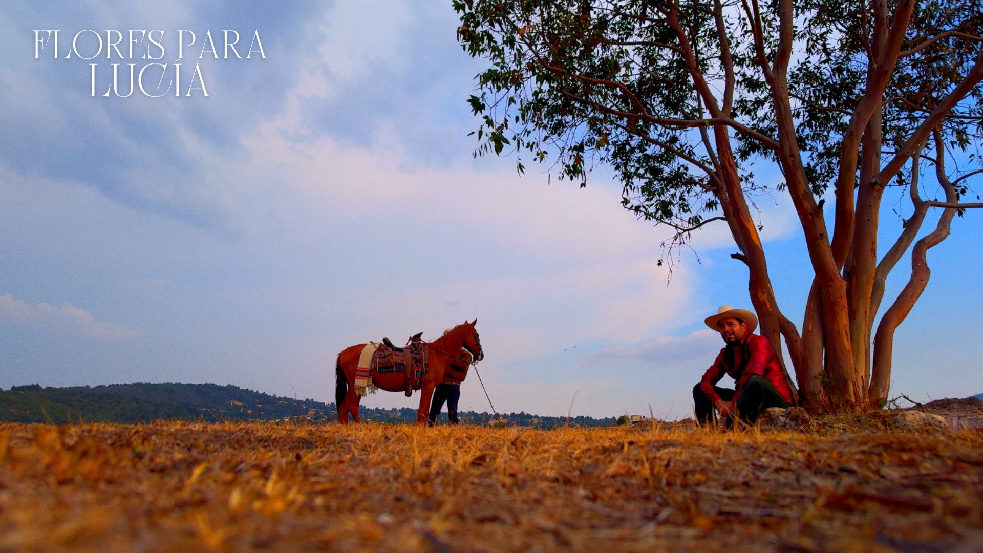Flores Para Lucia Picture 4