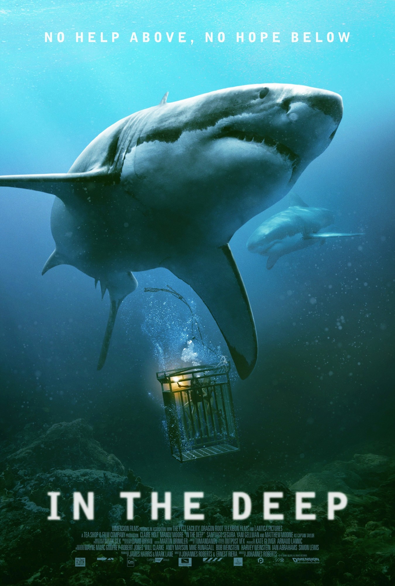 47 Meters Down 2017 Pictures Trailer Reviews News DVD And Soundtrack 47-meters-down-2017-pictures-trailer-reviews-news-dvd-and-soundtrack