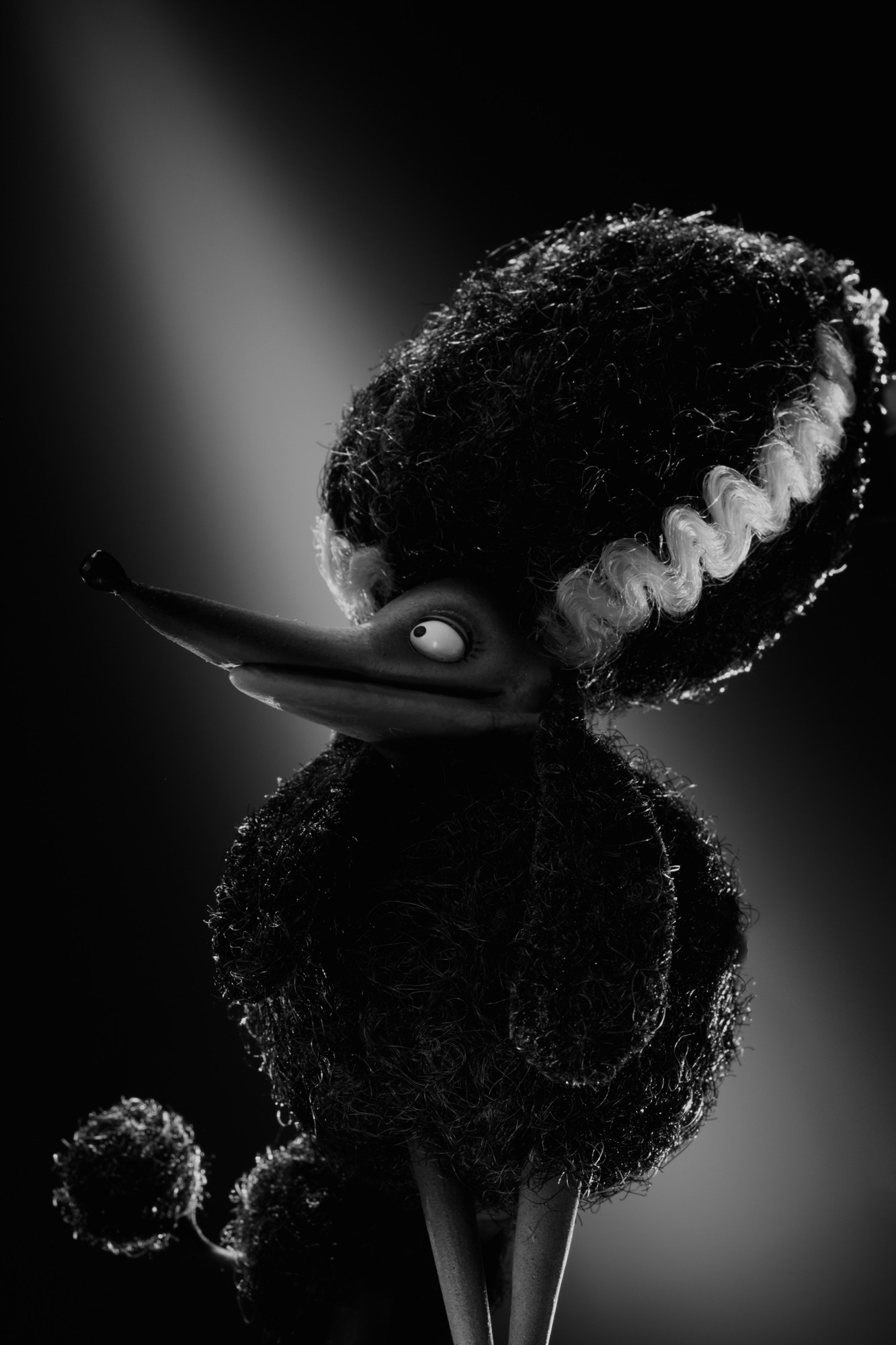 Frankenweenie Picture 18