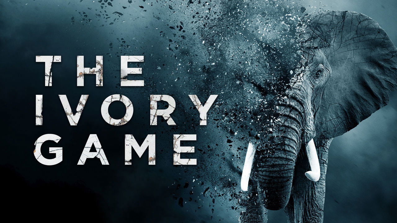 Ivory Game, The Picture 1 | AceShowbiz