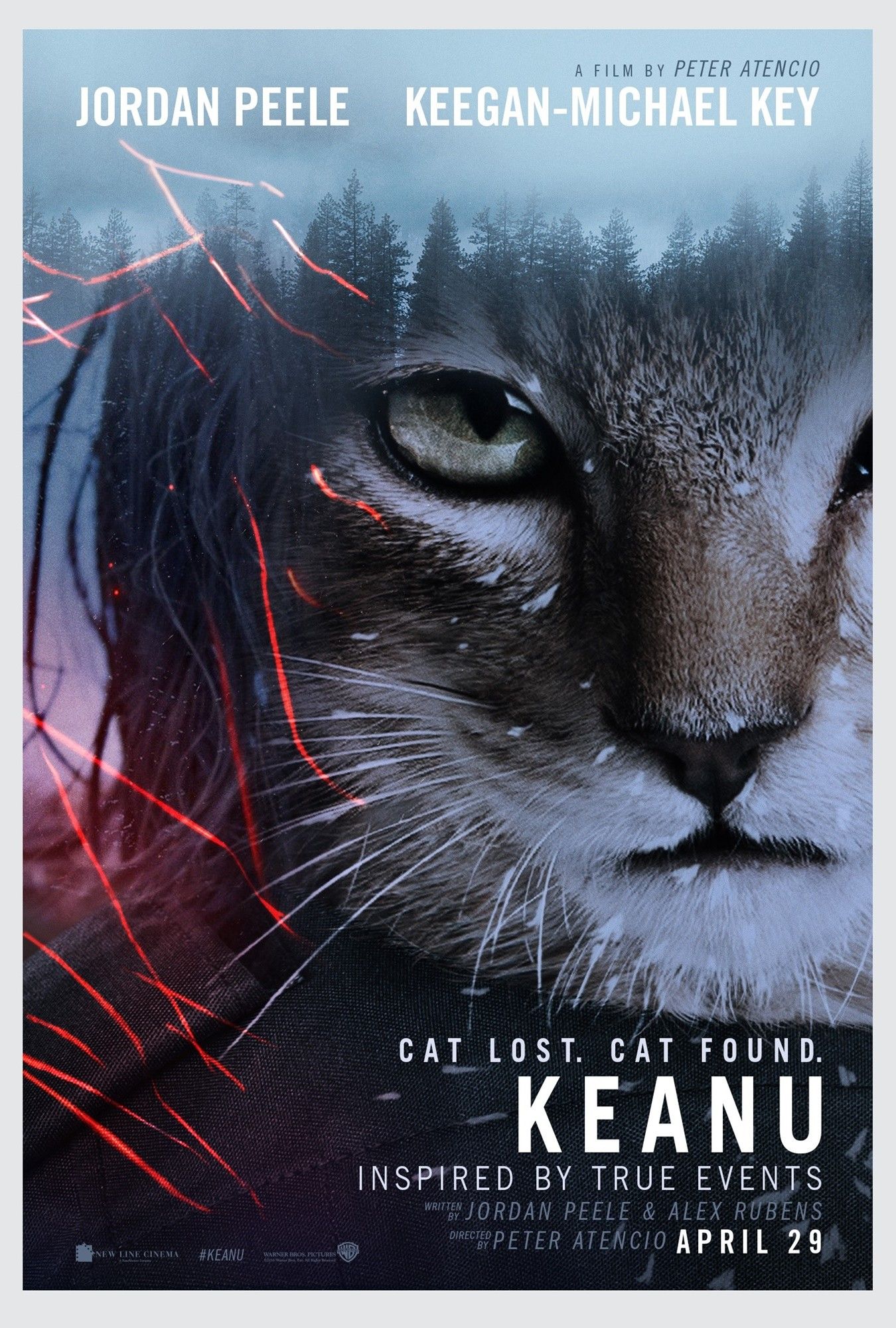 Keanu (2016) Pictures, Photo, Image and Movie Stills