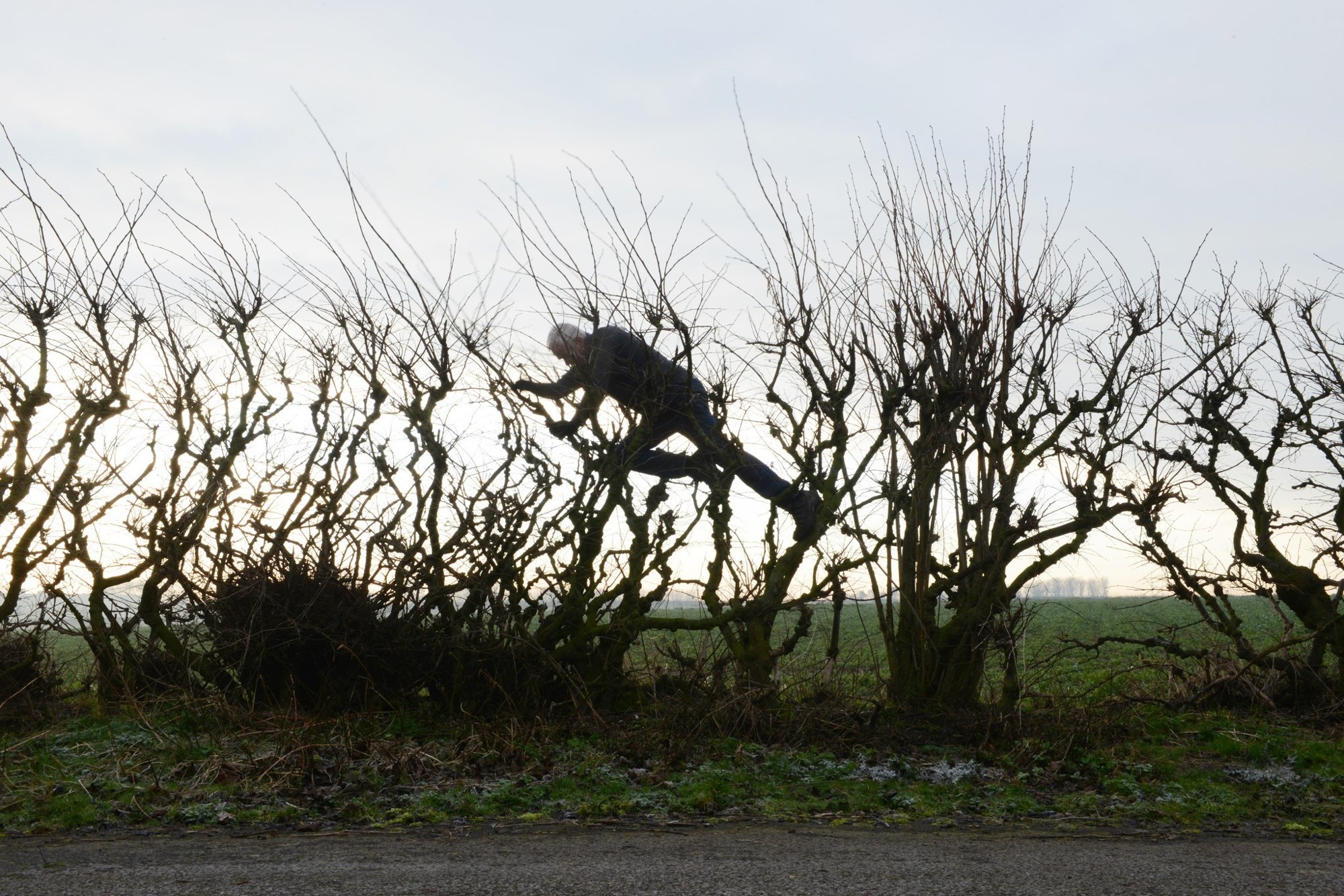Leaning Into The Wind Picture 5