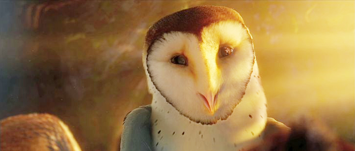 Legend Of The Guardians: The Owls Of Ga'Hoole Picture 7 | AceShowbiz