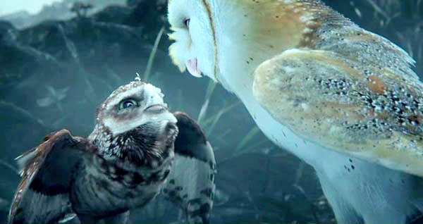 Legend Of The Guardians: The Owls Of Ga'Hoole Picture 33