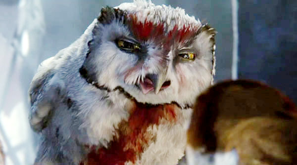 Legend Of The Guardians: The Owls Of Ga'Hoole Picture 33
