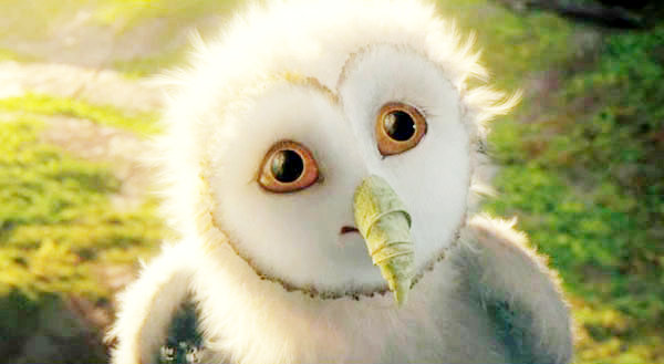 Legend of the Guardians: The Owls of Ga'Hoole Picture 28