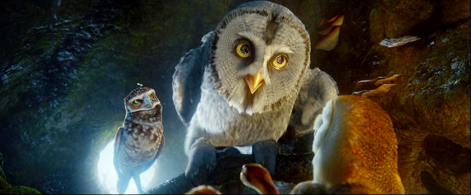 Legend Of The Guardians: The Owls Of Ga'Hoole Picture 54