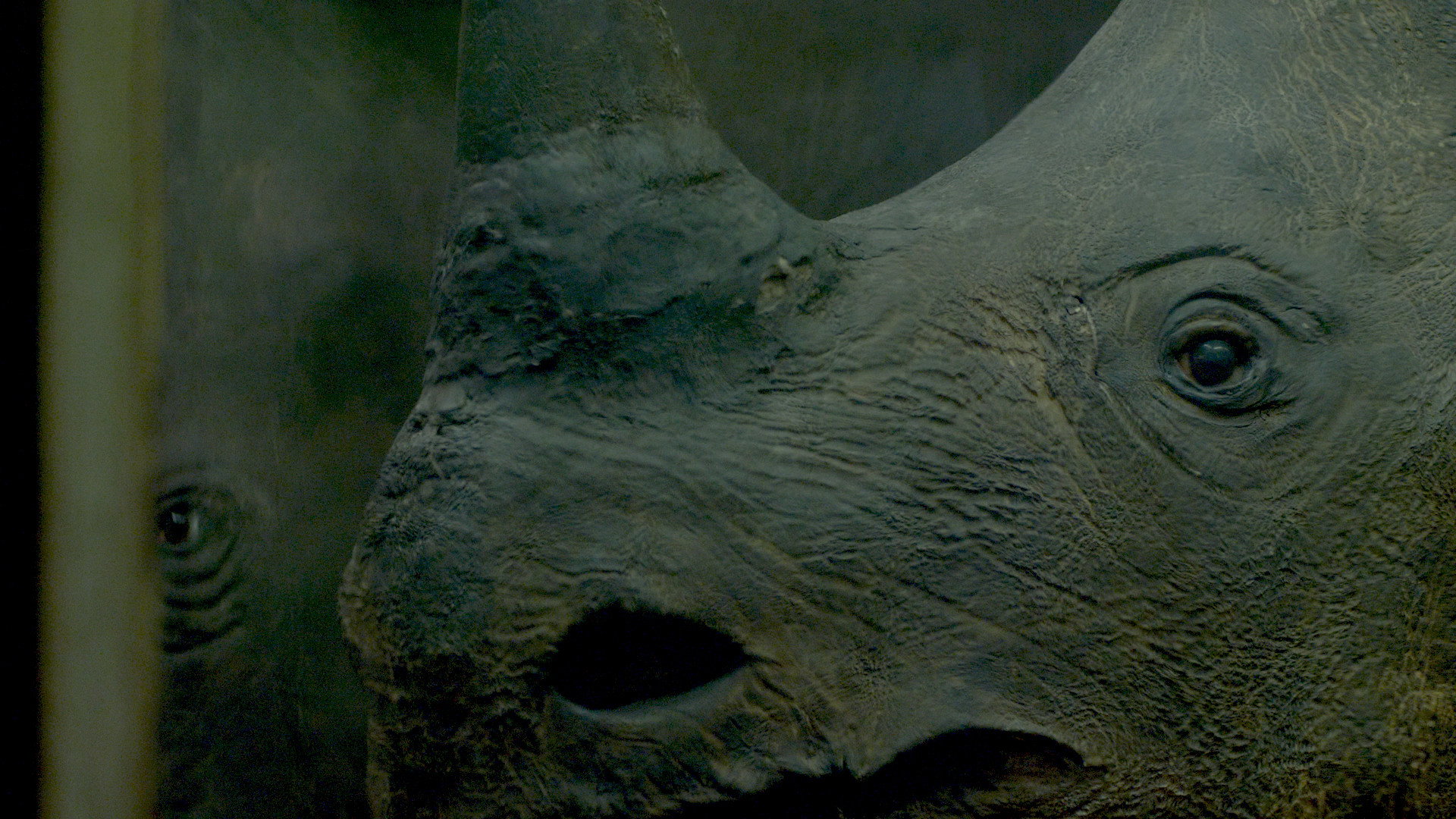 Little, Big, And Far Picture 1 | AceShowbiz