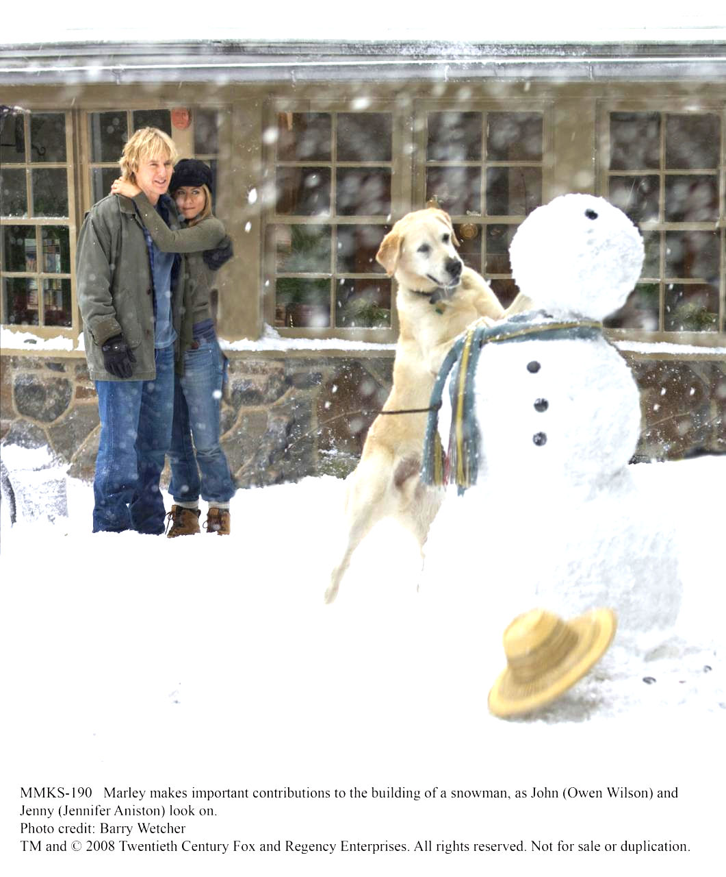 Marley & Me Picture 3