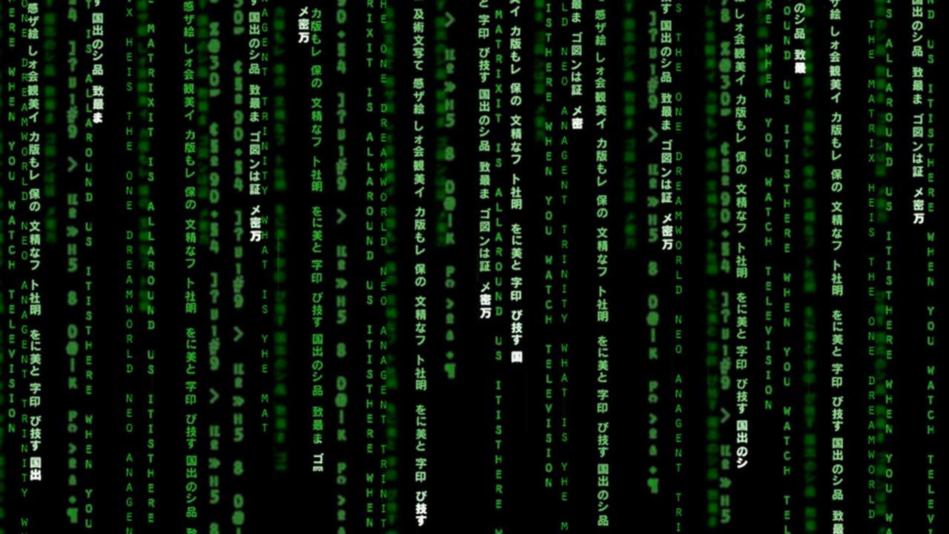 Matrix Revolutions, The Picture 4 | AceShowbiz