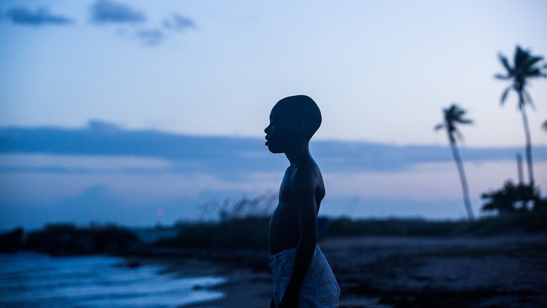 Moonlight (2016) - 9.3/10 Rated | AceShowbiz