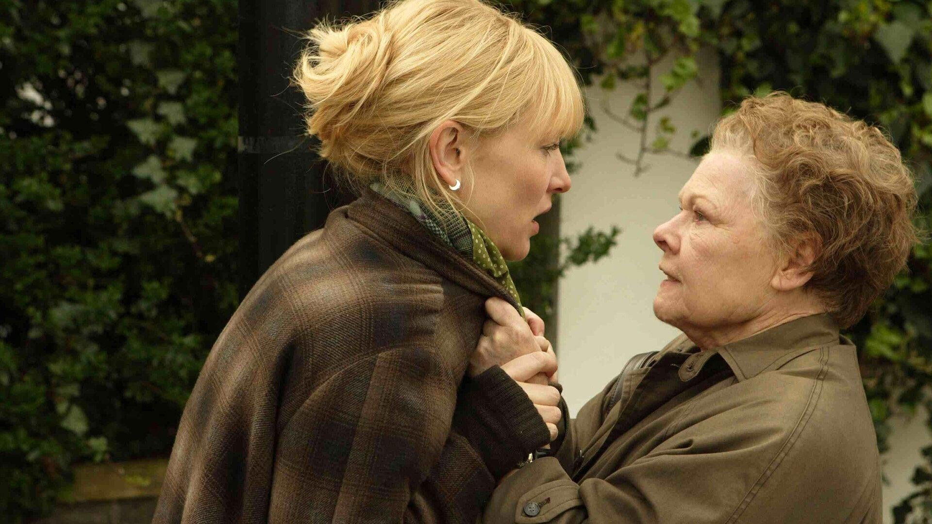 Notes On A Scandal Picture 10 | AceShowbiz
