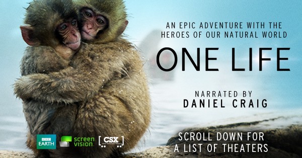 One Life (2013) Cast, Crew, Synopsis and Movie Info