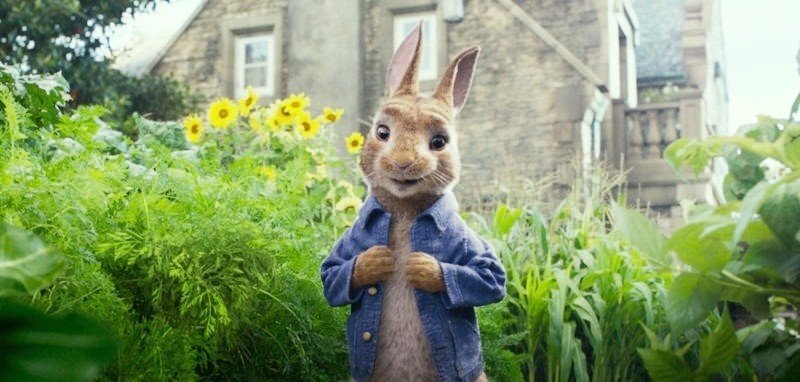 Peter Rabbit Picture 3