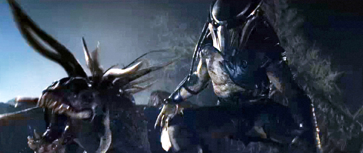 Predators Picture 13